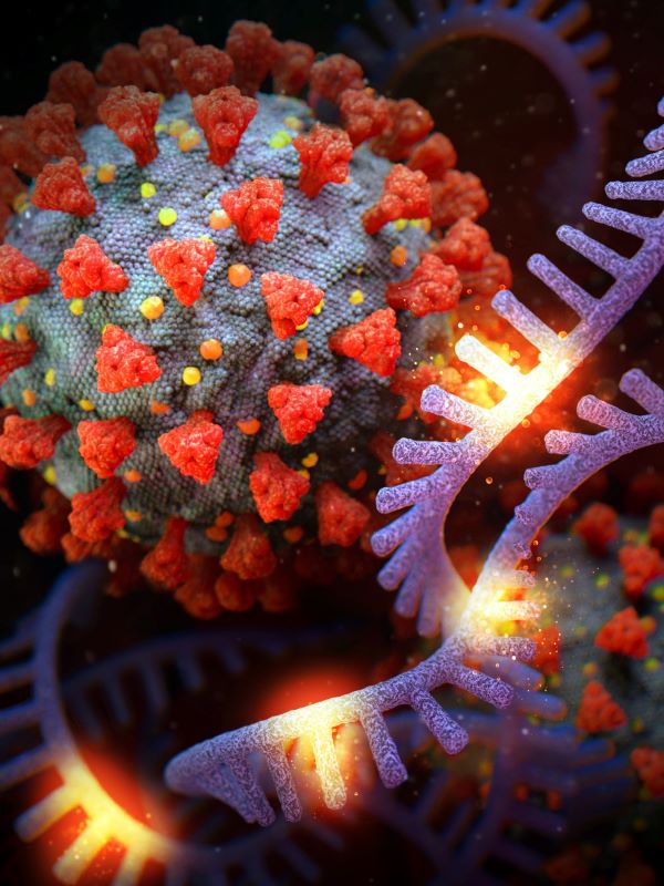 [기획] 코로나19 이후 mRNA 연구 | 과학기술커리어트렌드 | W브릿지