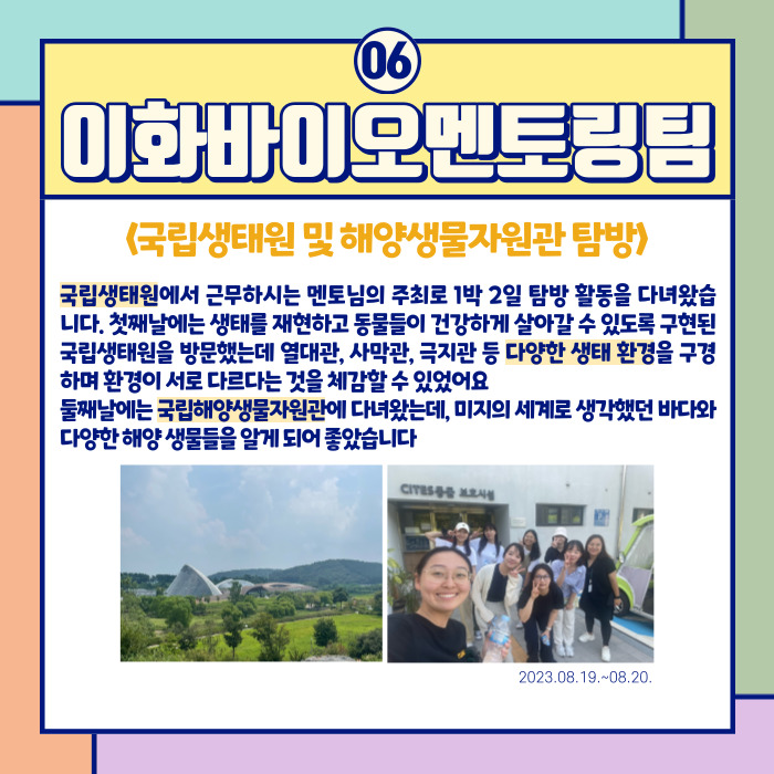 2023년 취업탐색 멘토링 활동 후기 모음 #2(7~8월 활동) | 경력개발사례 | W브릿지